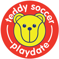 Play Options – Teddy Soccer